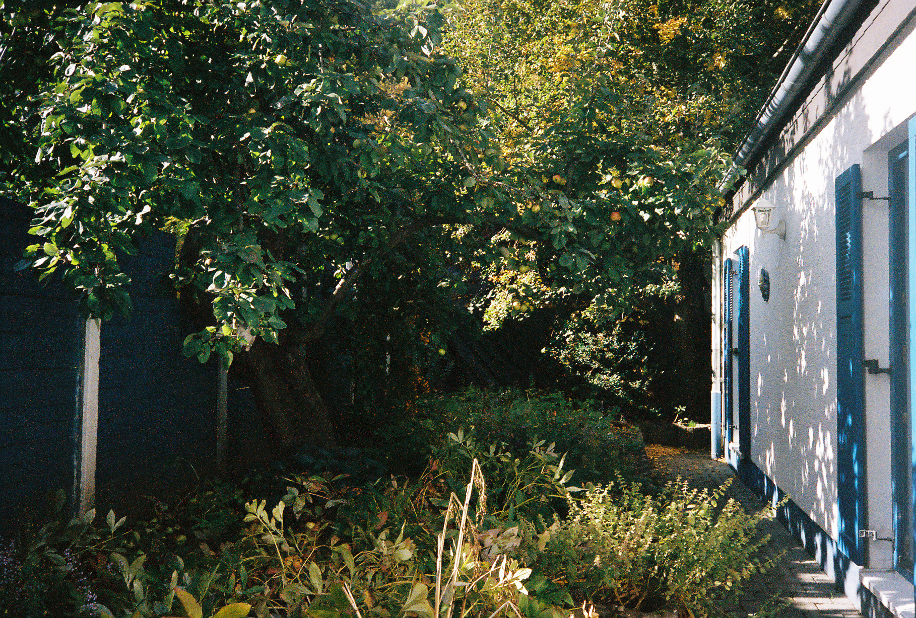 Screenings | i was 8814