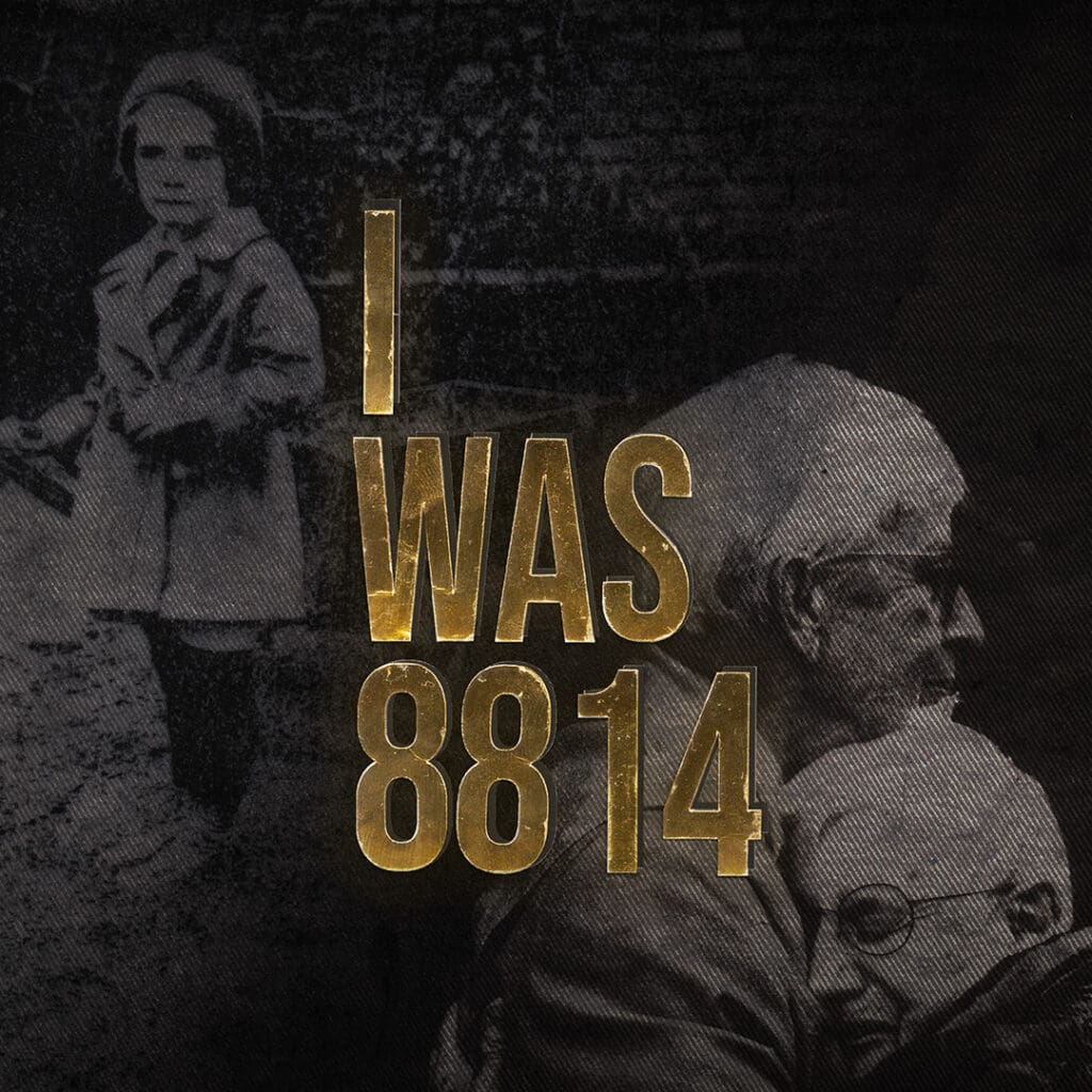 Screenings | i was 8814